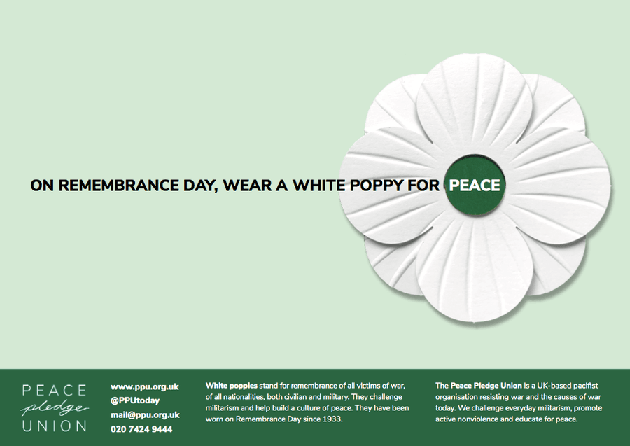 Wear a White Poppy (A3 Poster) – Peace Pledge Union